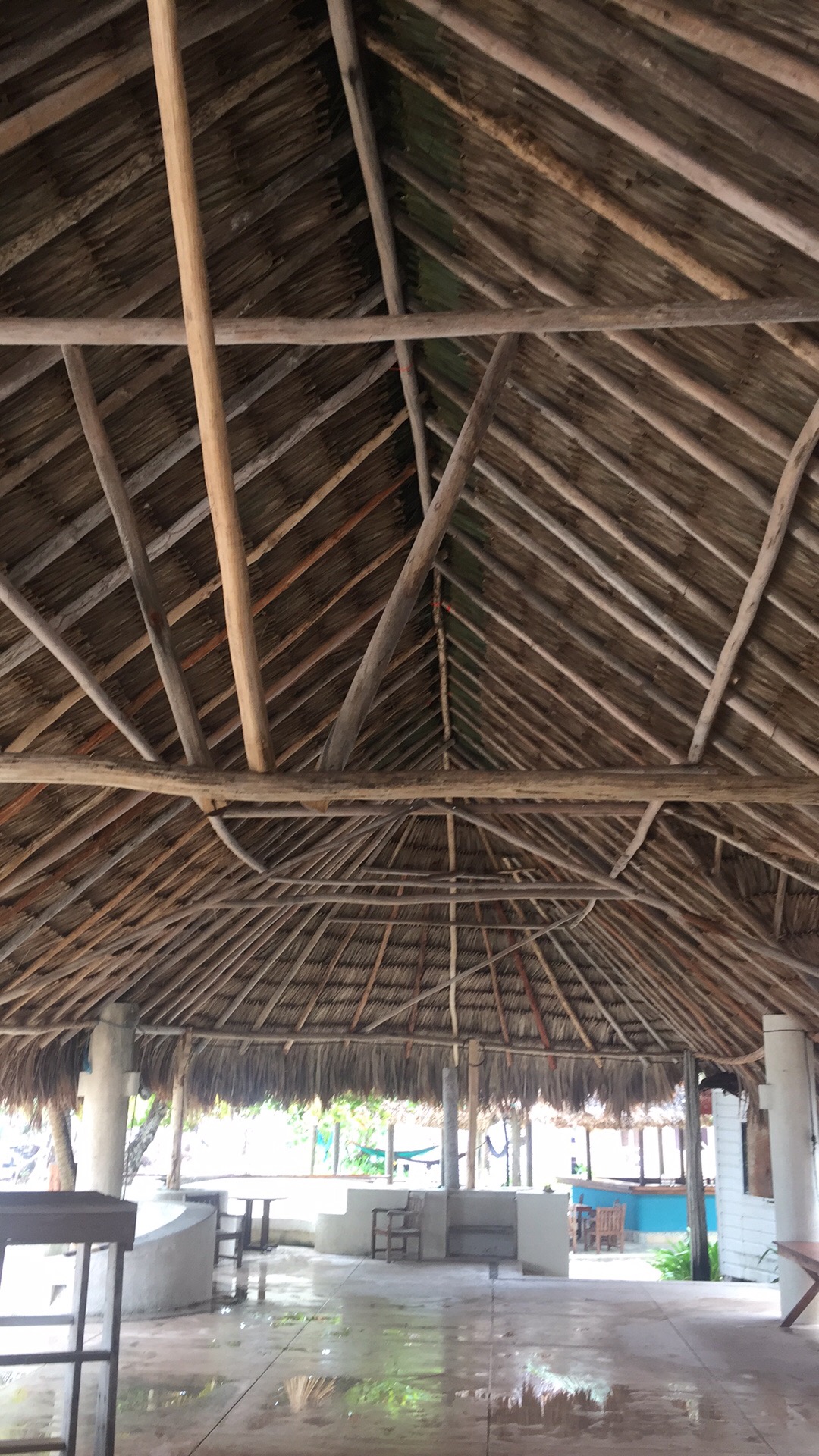 Media – Ally George Woodall